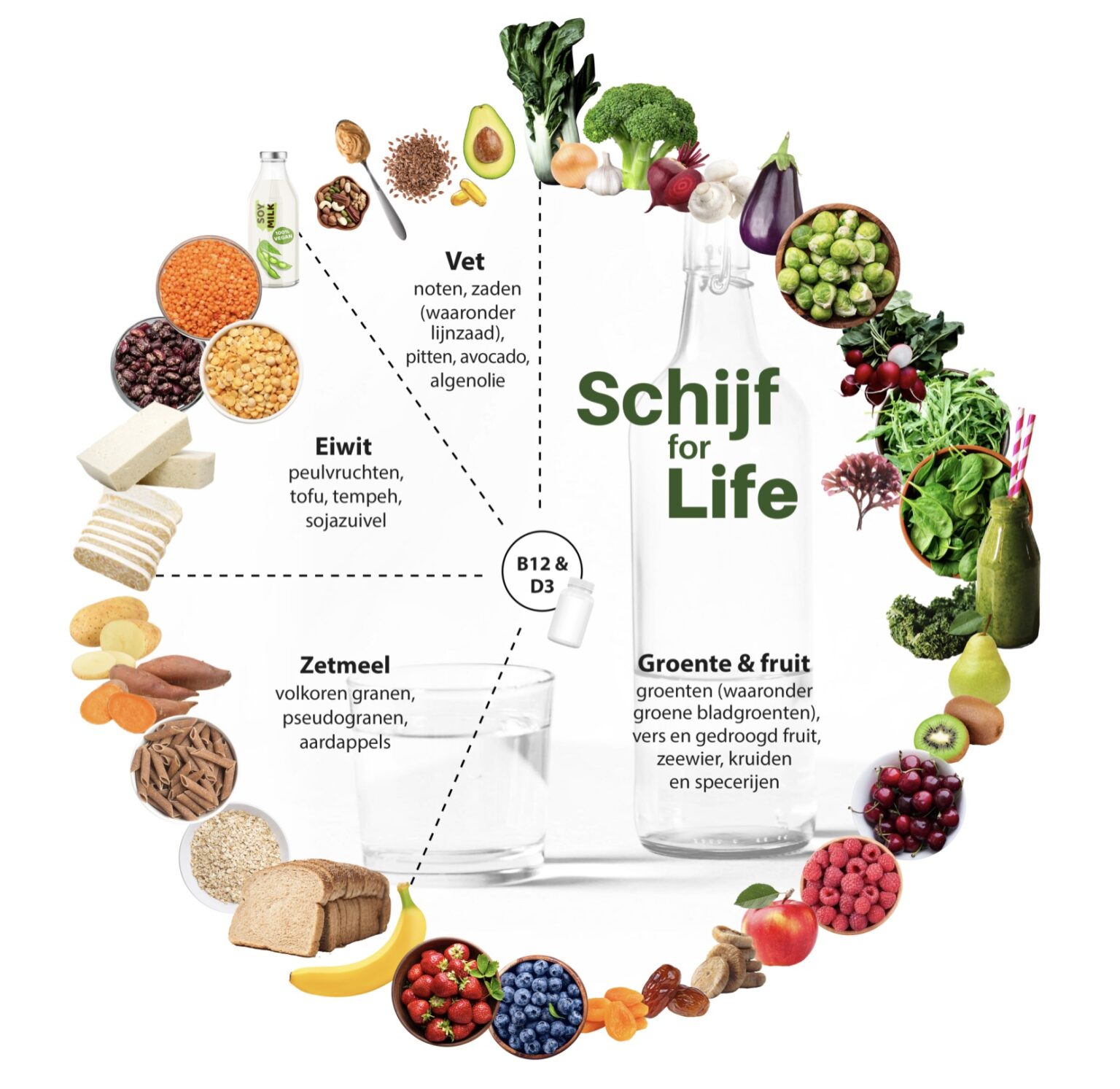 Schijf for Life - Orthomoleculair Diëtistenpraktijk Shirley Brouwers